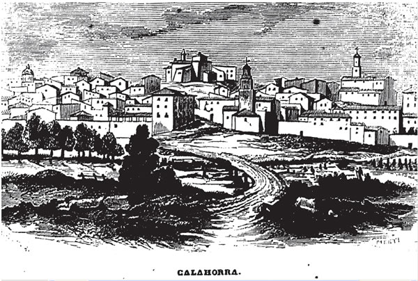 Calahorra - Galería de imágenes - bermemar